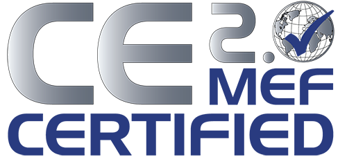 International carriers - Telekom Slovenije