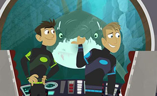 Minimax+ - Telekom Slovenije